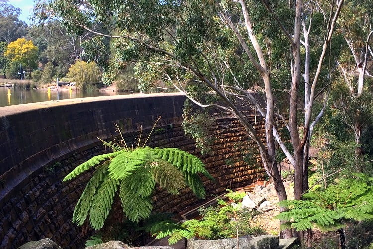 Discover Lake Parramatta Reserve | Sydney Uncovered