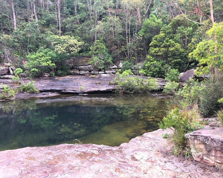 Karloo Walking Track to Karloo Pools | Sydney Uncovered