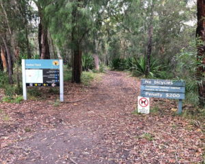 Karloo Pools Walking Track in Royal National Park