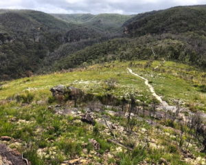 Explore the Bells Line of Road in the Blue Mountains