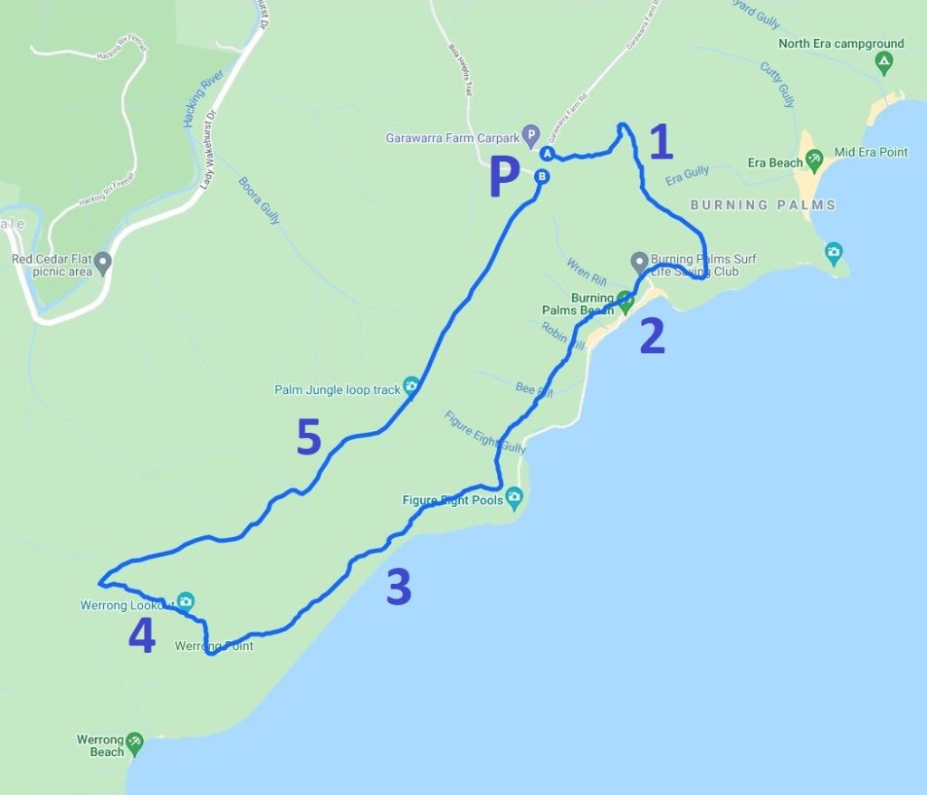 Palm Jungle Loop Track via Burning Palms Beach