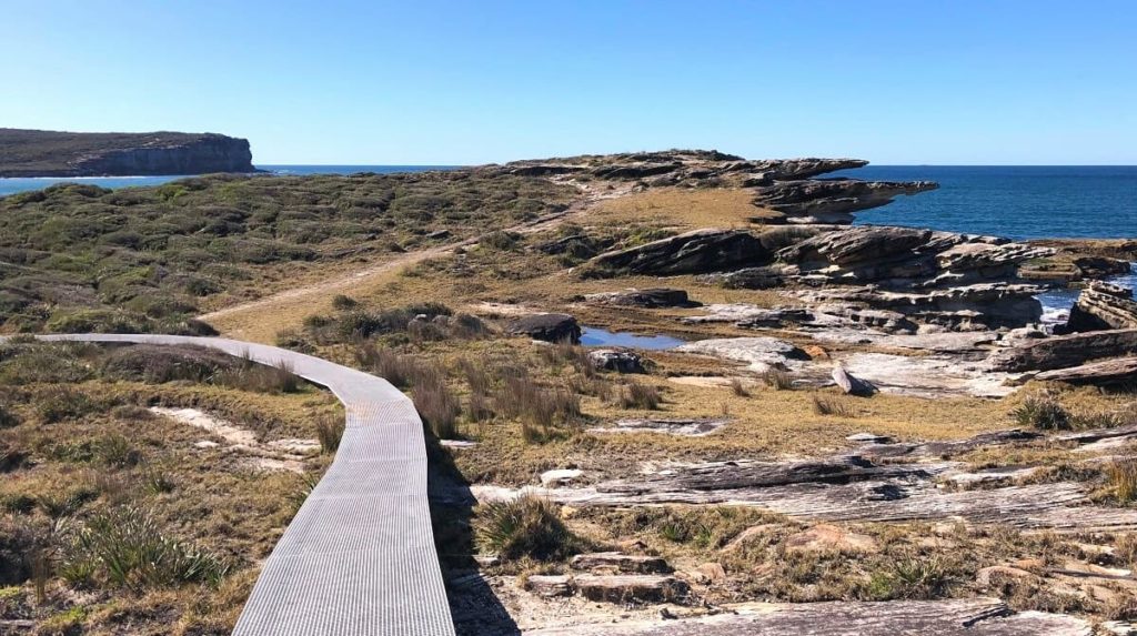 Wattamolla to Little Marley Beach Walk | Sydney Uncovered