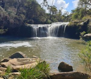 Carrington Falls and Nellies Glen in Budderoo National Park