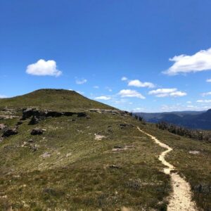 Lockleys Pylon Walking Track (And Du Faur Head)