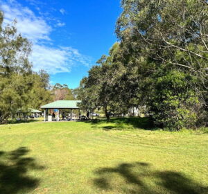 Lane Cove National Park Riverside Loop Walk - Sydney Uncovered