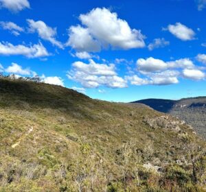 Porters Pass Circuit (Via Colliers Causeway and Centennial Glen)
