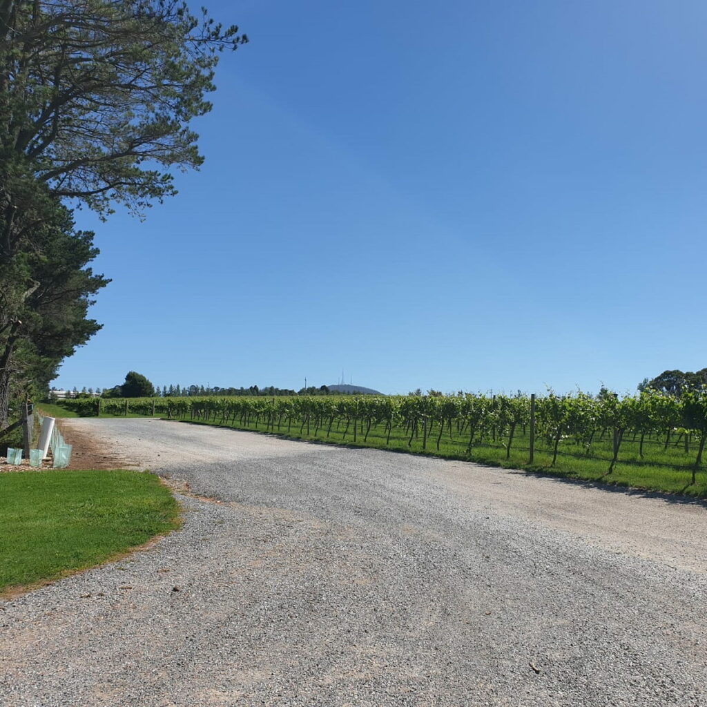 15 Best Things to Do in Orange (Top Attractions)