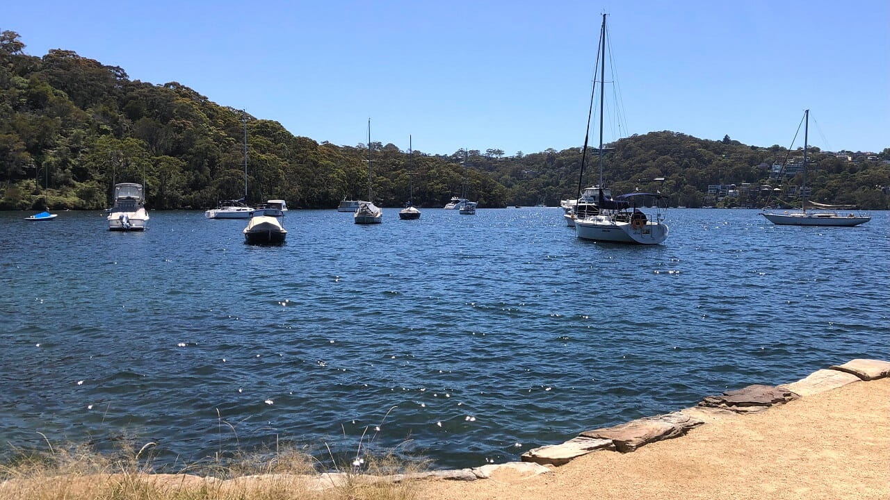 North Arm Walking Track in Castle Cove - Sydney Uncovered