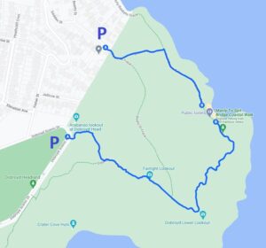 Discover Reef Beach in Sydney's North Harbour