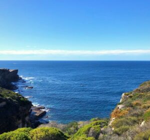 The Malabar Headland Circuit Walk - Sydney Uncovered