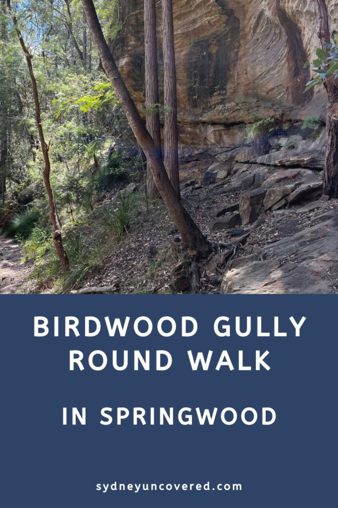 The Birdwood Gully Round Walk in Springwood