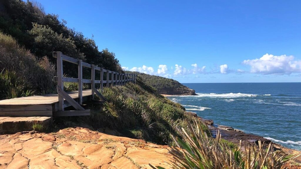 Lane Cove National Park Riverside Loop Walk - Sydney Uncovered