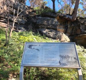 Resolute Beach Loop Track: Bushwalking and Secluded Beaches