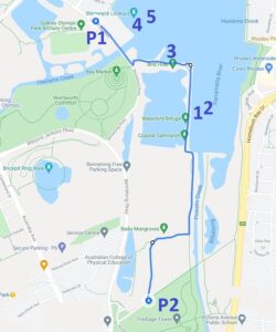 Discover the Shipwrecks of Homebush Bay - Sydney Uncovered