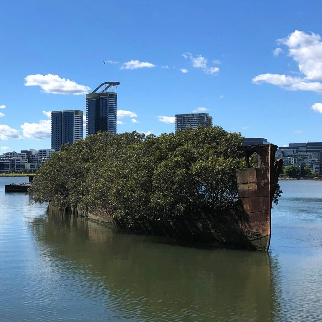 Discover the Shipwrecks of Homebush Bay - Sydney Uncovered