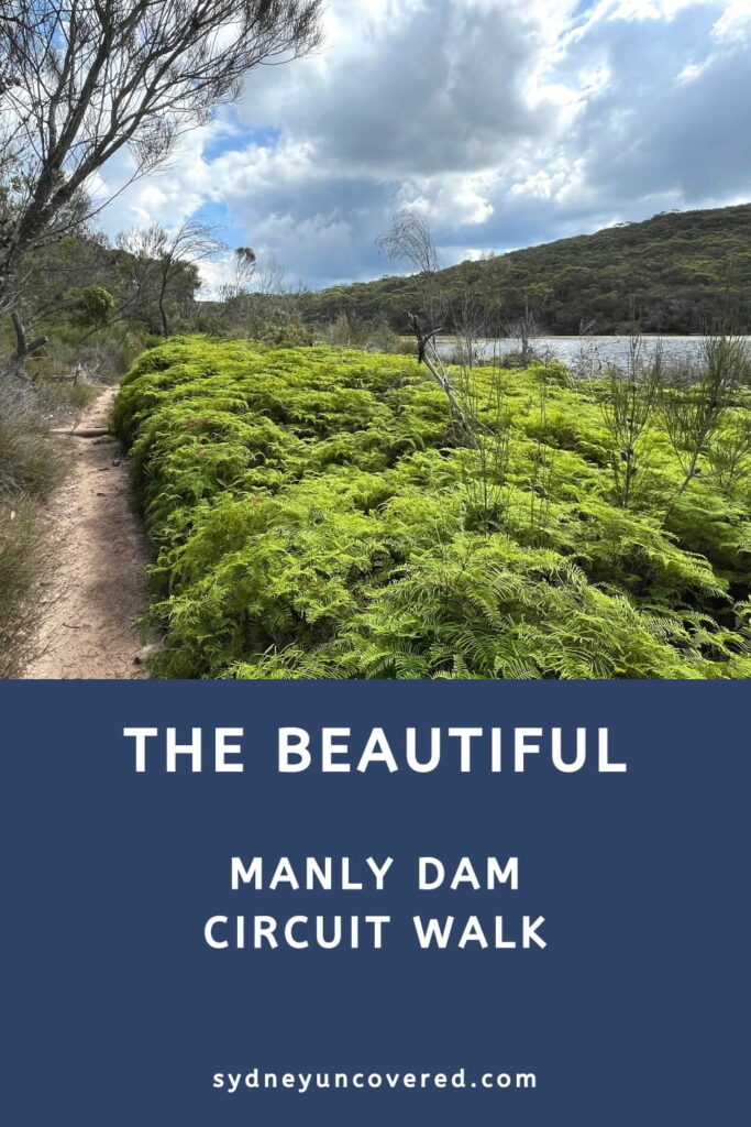 Manly Dam Walk (Beautiful Bushwalk on Sydney’s North Shore)