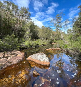Winifred Falls Trail in Royal National Park - Sydney Uncovered