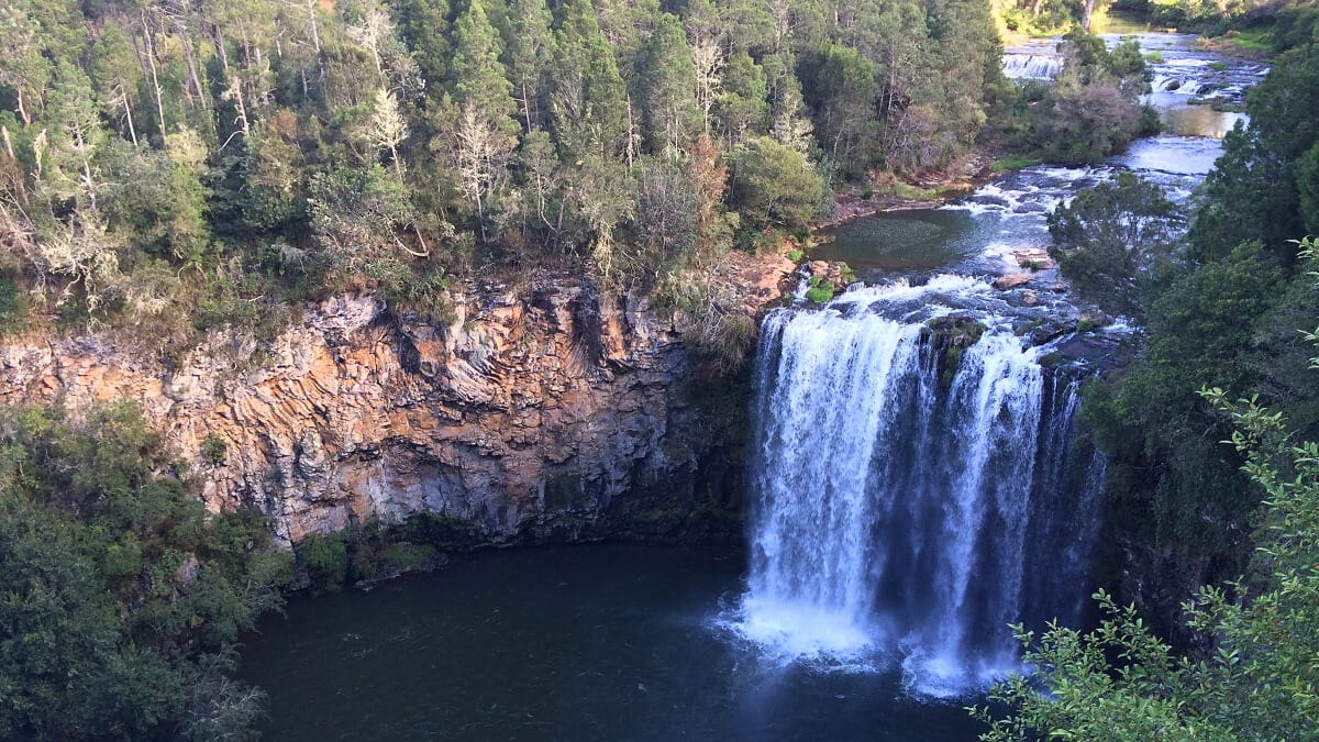 Guide to the Waterfall Way: Highlights and Itineraries