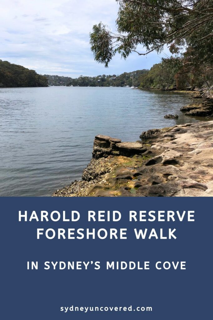 Harold Reid Reserve Foreshore Track in Middle Cove