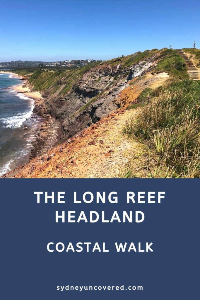 Long Reef Headland Walk in Collaroy - Sydney Uncovered