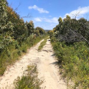 Curra Moors Loop Track: Coastal Views and Scenic Bushland