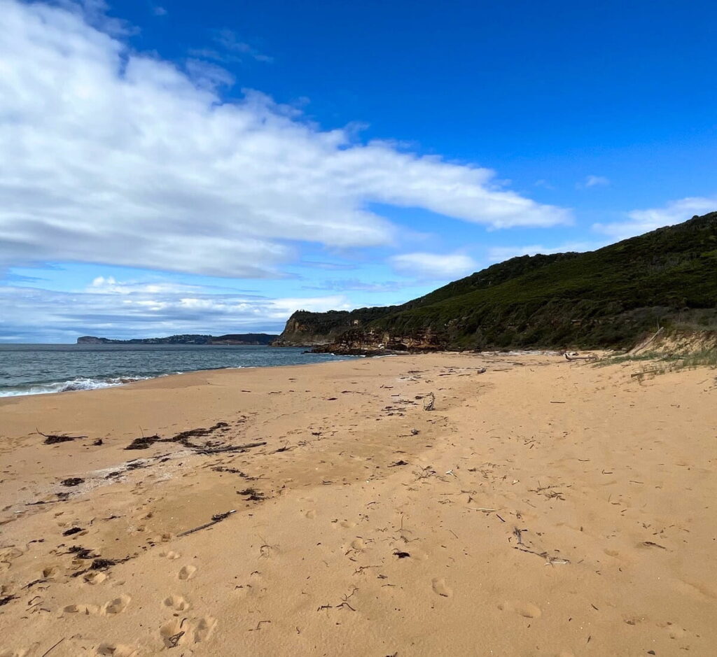 Tallow Beach Trail (Discover Two Stunning Beaches)