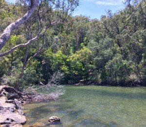 Cowan to Jerusalem Bay Walking Track - Sydney Uncovered