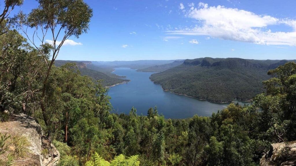 Federation Cliff Walk (Watsons Bay to Dover Heights)