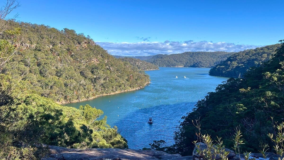America Bay Track: Short Bushwalk With Scenic Views