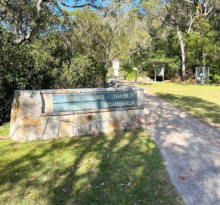 Mangrove Boardwalk in Bobbin Head - Sydney Uncovered