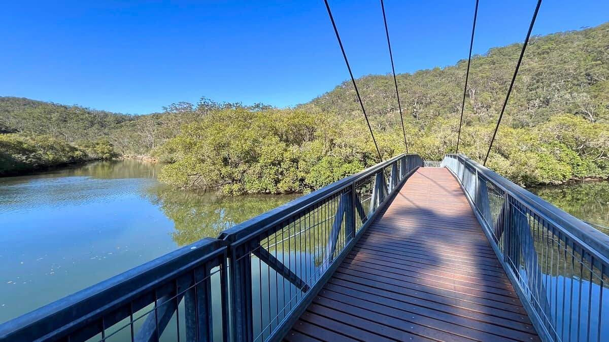 Mangrove Boardwalk in Bobbin Head - Sydney Uncovered