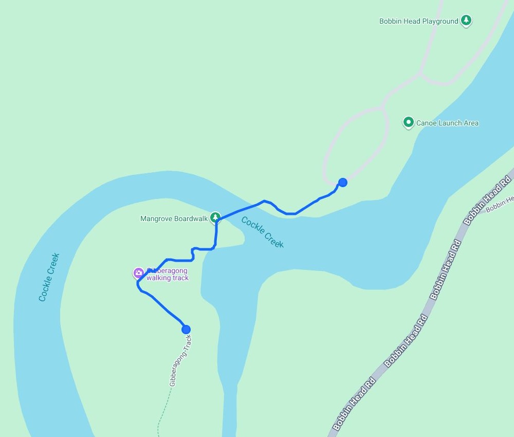 Mangrove Boardwalk in Bobbin Head - Sydney Uncovered